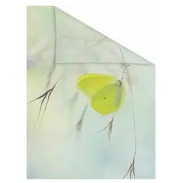 Fensterfolie LICHTBLICK ORIGINAL "Schmetterling Gr&uuml;n" Gr. 5, gr&uuml;n, B:100cm L:180cm, PVC, Fensterfolien, selbstklebend, Sichtschutz