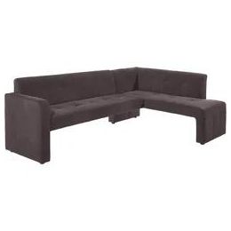 Essbank exxpo - SOFA FASHION "Barista, bequem und elegant, hohe Bodenfreiheit", braun (schoko), B:157cm H:82cm T:245cm, Luxus-Microfaser (100% Polyester), Sitzb&auml;nke, Essbank, Eckbank Barista bequem und elegant, hochwertige Detailverarbeitung