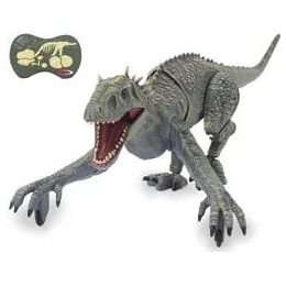 RC-Tier Jamara "Dinosaurier Exoraptor, Li-Ion 3,7V, 2,4GHz, grau", grau, Fernlenkfahrzeuge, KinderB:22cm H:17cm, mit Licht und Sound, B:22cm H:17cm