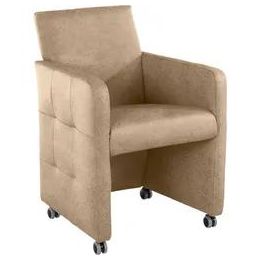 Sessel exxpo - SOFA FASHION "Barista Clubsessel auf Rollen, schmale Armlehnen, aktuelles Design", beige (sahara), B:61cm H:88cm T:70cm, Sessel, Sessel, bequem und komfortabel, Breite 61 cm