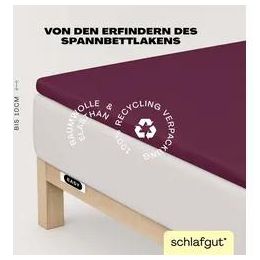 Spannbettlaken Schlafgut "EASY Jersey Elasthan Topper", lila (lila deep), 1 Stk., Jersey, 90-100x200-220 10cm, Jersey, Obermaterial: 95% Baumwolle, 5% Elasthan, Bettlaken, Spannbettlaken, MADE IN GREEN by OEKO-TEX