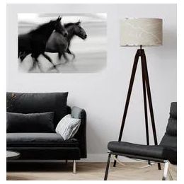 Wandsticker queence "Horses", schwarz, B:90cm H:60cm T:0,1cm, Folie, Wandtattoos, Selbstklebend, kinderleichte Anbringung