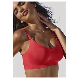 Bralette-BH Nuance, Damen, Gr. M (40), N-Gr, rot (kirschrot), Microtouch, Obermaterial: 82% Polyamid, 18% Elasthan, Basic, BHs, SEAMLESS ohne B&uuml;gel, mit herausnehmbarem Push-up-Kissen, Basic Dessous