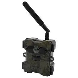 Technaxx Wildkamera "4G Wildcam TX-189 + Solar Panel", gr&uuml;n (gr&uuml;n, schwarz), B:11,8cm H:7,1cm T:28,4cm, &Uuml;berwachungskameras