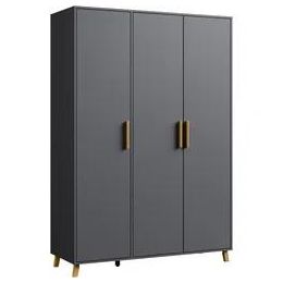 Dreht&uuml;renschrank Rauch "Kleiderschrank Schrank Garderobe SHINJO Breiten 93/140/187 cm", grau (graumetallic), B:140cm H:203cm T:53cm, Holzwerkstoff, Schr&auml;nke, Dreht&uuml;renschrank, Griffe und F&uuml;&szlig;e aus Massivholz, viel Stauraum MADE IN GERMANY