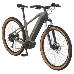 E-Bike Prophete "Dice 3.0" Gr. 48, schwarz (schwarz, schwarz), Elektrofahrr&auml;der, 48cm, 29 Zoll (73,66cm), Pedelec, Elektrofahrrad f&uuml;r Damen und Herren, MTB