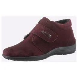 Classic Dog Stiefelette CLASSIC, Damen, Gr. 37, rot (bordeaux), Glattleder, Rindsleder, Veloursleder, Basic, Schuhe Stiefelette