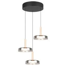 Trio LEUCHTEN LED Pendelleuchte "CELESTE dimmbare LED H&auml;ngelampe aus Metall Glas & Holz, 7,5W 750 Lumen", schwarz (schwarz matt), 3, &Oslash; 35cm H: 200cm, 1 Stk., Leuchten, 3-flammig einfach h&ouml;henverstellbar von 50-200 cm 3-Stufen Dimmfunktion, LED Pendelleuchte