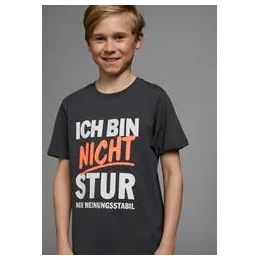 T-Shirt Kidsworld "ICH BIN NICHT STUR", Jungen, Gr. 140/146, grau (anthrazit), Jersey, Obermaterial: 100% Baumwolle, bedruckt, Basic, Basic, Rundhals, Shirts T-Shirt, Kurzarm, mit Rundhalsausschnitt, mit trendigem Aufdruck