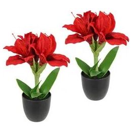 Kunstblume I.GE.A. "Amaryllis im Topf", rot, B:17cm H:28cm L:14cm, Polyester, Kunstpflanzen, 2erSet Blume Weihnachtsblume Weihnachtsdeko Winterblume Floristik Deko