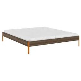 Bettgestell KARUP DESIGN "CORE BED Bodenbett, Holzrahmen, Futonbett, Jugendbett, Holzbett", carob braun, solar orange, B:186cm H:34cm L:206cm, Betten, Bettgestell, Massivholzbett mit Lattenrost, Kiefer massiv, Doppelbett ohne Kopfteil