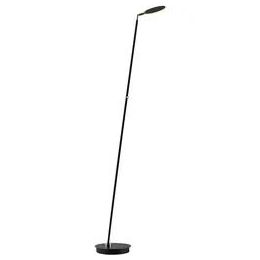 Paul Neuhaus LED Stehlampe "AKKU BENTE", schwarz, 1, &Oslash; 22cm H: 145cm, 1 Stk., Leuchten, Tastdimmer, CCT 2700-5000K, Memory, Akku betrieben, flexibel, LED Stehlampe