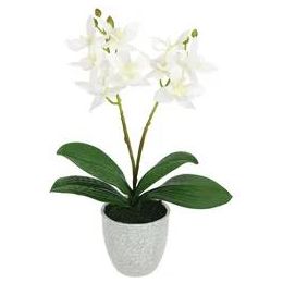 Kunstorchidee I.GE.A. "K&uuml;nstliche Orchidee mit Topf", wei&szlig;, B:14cm H:30cm L:14cm, Polyester, Kunstpflanzen, Dekoblume im Keramiktopf mit Rissoptik Kunstblume