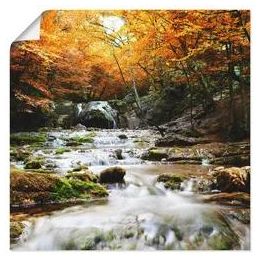 Poster Artland "Herbstlicher Wasserfall", braun (farbe bild(er): braun), B:40cm H:40cm, Bilder, Poster, ohne Rahmen