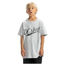 T-Shirt DC Shoes "Substitute", Jungen, Gr. 12(148-156cm), grau (light erdgrau), Obermaterial: 75% Walkfrottier, 25% Walkfrottier;, Shirts T-Shirt