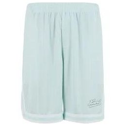Shorts Karl Kani "Karl Kani Small Varsity Logo Pinstripe Mesh Shorts", Herren, Gr. L, US-Gr&ouml;&szlig;en, turquoise, 100% Polyester, relaxed fit, Hosen Shorts