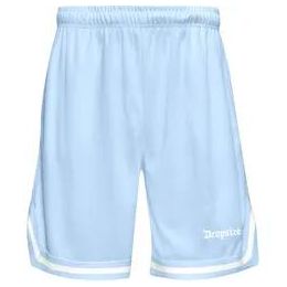 Shorts DROPSIZE "Dropsize Herren Dropsize Logo Mesh Shorts", Herren, Gr. S, US-Gr&ouml;&szlig;en, baby blau, 100% Polyester, loose fit, Hosen Shorts