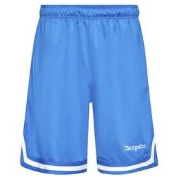 Shorts DROPSIZE "Dropsize Herren Dropsize Logo Mesh Shorts", Herren, Gr. M, US-Gr&ouml;&szlig;en, royal blau, 100% Polyester, loose fit, Hosen Shorts