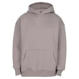 Kapuzenpullover DROPSIZE "Dropsize HEAVY OVERSIZE HD LOGO HOODIE", Herren, Gr. L, flannel grau, 70% Baumwolle, 30% Polyester, mehrfarbig, oversize, ohne Ausschnitt, Pullover Kapuzenpullover