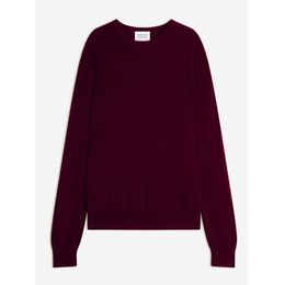 AUTHENTIC CASHMERE Kaschmir-Pullover "Aigli&eacute;re" in Bordeaux - 63% | Gr&ouml;&szlig;e M | Herren-plussize