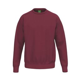Erima Sweatshirt in Bordeaux - 40% | Gr&ouml;&szlig;e XL | Herren-sweatshirts-jacken