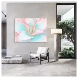 Acrylglasbild queence "Bl&uuml;te in Pastellt&ouml;nen", farbe rahmen: ohne rahmen, bild ist freischwebend, B:60cm H:40cm T:0,4cm, Acrylglas, Bilder, Acrylglasbild, Kunstdruck in Galeriequalit&auml;t inkl. r&uuml;ckseitigem Aufh&auml;ngesystem