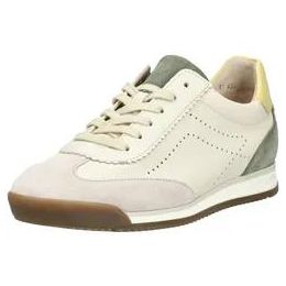 Sneaker Gabor "Gabor Sneaker Leder", Damen, Gr. 38, beige, gr&uuml;n, Leder, Schuhe Sneaker