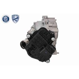 VAICO Wasserpumpe + Zahnriemensatz V10-50114 mit Dichtung f&uuml;r SKODA VW SEAT AUDI 05E121111AB 05E121111P 05E121111Q