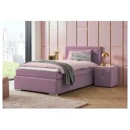 Boxbett Home Affaire "Alfie, wahlweise mit Bettkasten", rosa (rose), L:206cm, Bezug Bett: Samtvelours (100% Polyester), Bezug der Spiegelfl&auml;che Matratzendrell aus 100% Polyester. Topperbezug abnehmbar und waschbar bis 30o C, aus 100% Polyester, Komplettbetten, Boxspringbett, mit Stra&szlig;steinen im Kopfteil, H2, H3 und H4 w&auml;hlbar, Topseller