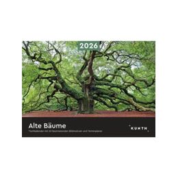 Kalender - Alte B&auml;ume - KUNTH Tischkalender 2026 | Gr.: onesize