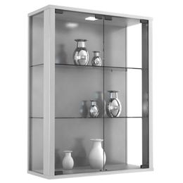 ebuy24 Vitrinenschrank Udina Silber 60 x 25 cm | Gr.: onesize