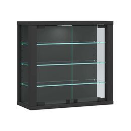 ebuy24 Vitrinenschrank VitrosaS 2 Anthrazit 43 x 18 cm | Gr.: onesize