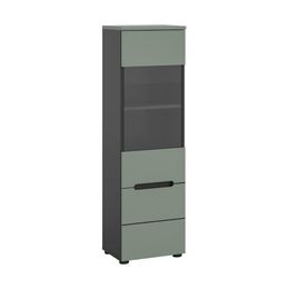 ebuy24 Vitrinenschrank Canu Staubgr&uuml;n 36 x 33 cm | Gr.: onesize