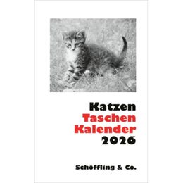Sch&ouml;ffling & Co. Kalender - Katzen Taschenkalender 2026 | Gr.: onesize