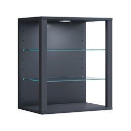 ebuy24 Vitrinenschrank GlasolSW Anthrazit 52 x 35 cm | Gr.: onesize