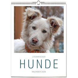 ars vivendi Kalender - Literarischer Hunde - Kalender 2026 | Gr.: onesize