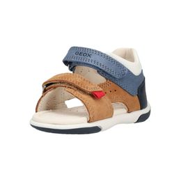 Geox Sandalen in Braun/Blau | Gr.: 22