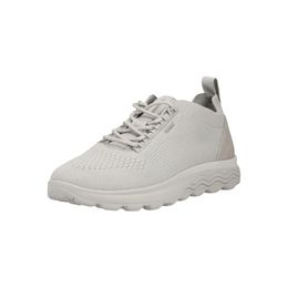 Geox Sneaker in Hellgrau | Gr.: 47