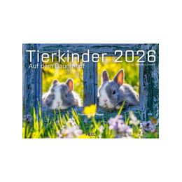 Heel Verlag Kalender - Tierkinder auf dem Bauernhof Kalender 2026 | Gr.: onesize