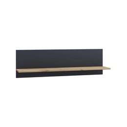 ebuy24 Regal Usilo Eiche Anthrazit 102 x 20 cm | Gr.: onesize