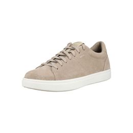 Geox Sneaker in Sand | Gr.: 44