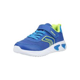 Geox Sneaker ASSISTER ASSISTER in Royal | Gr.: 33