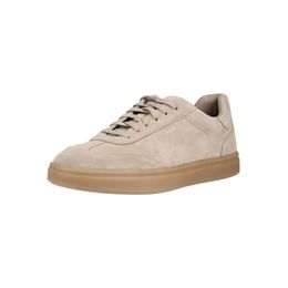 Geox Sneaker in Sand | Gr.: 43