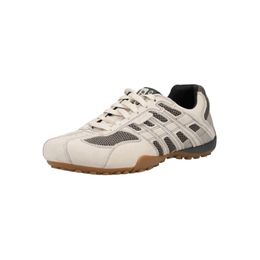 Geox Sneaker in Sand | Gr.: 44