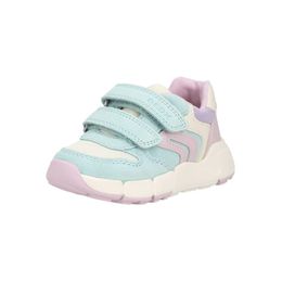 Geox Sneaker in T&uuml;rkis | Gr.: 25