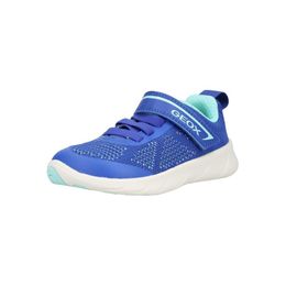 Geox Sneaker FOOT_RUN FOOT_RUN in Royal | Gr.: 29