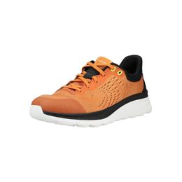 Geox Sneaker in Schwarz/Orange | Gr.: 44