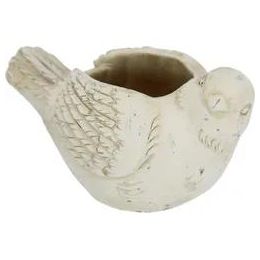 Pflanzk&uuml;bel I.GE.A. "Zement-Pflanztopf Vogel", beige (creme), B:22cm H:11cm, Beton, Pflanzgef&auml;&szlig;e, Pflanzk&uuml;bel, K&uuml;bel Blumenk&uuml;bel Pflanzgef&auml;&szlig; f&uuml;r Sukkulenten Gartendeko Terrassendeko