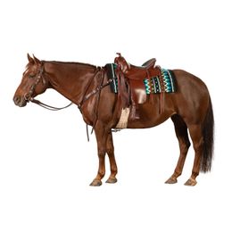 Passion 4Q Western-Vorderzeug braun Cob
