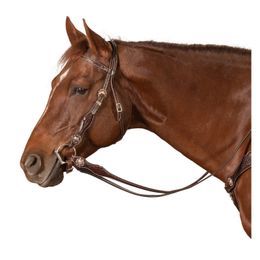 Passion 4Q Westerntrense braun Full